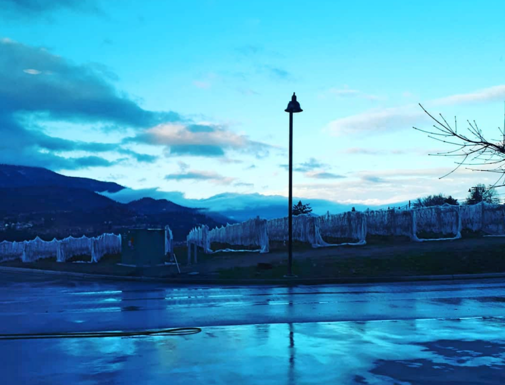 Westside Wine Trail Kick's Off Holiday Season - BCWineTrends