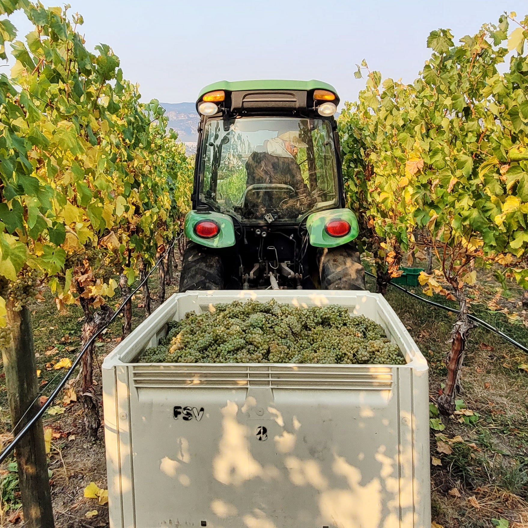 Four Shadows Vineyard & Winery - 2023 Releases - BCWineTrends