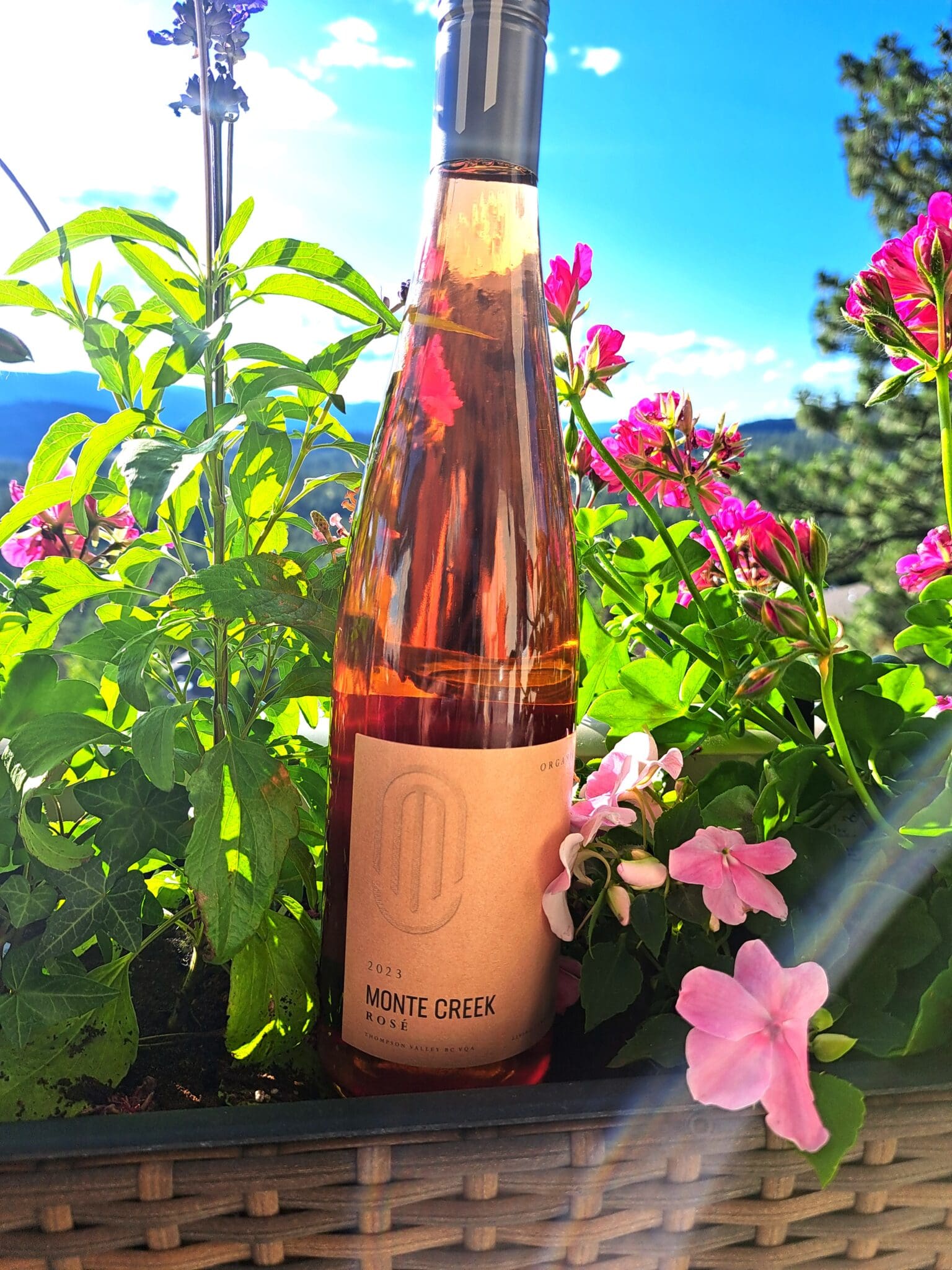 Monte Creek Living Land Wines - BCWineTrends