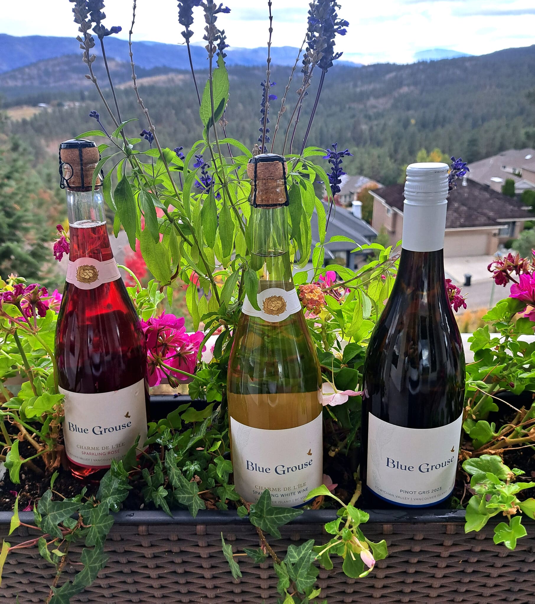 Blue Grouse Releases Three Premium Wines - BCWineTrends